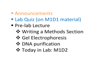 Announcements Lab Quiz (on M1D1 material) Pre‐lab Lecture Writing a ...