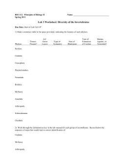 MARINE BIOLOGY Unit 8 Invertebrate Animals II – Phylum