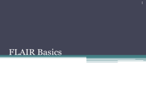 FLAIR Basics: Florida Accounting System Overview