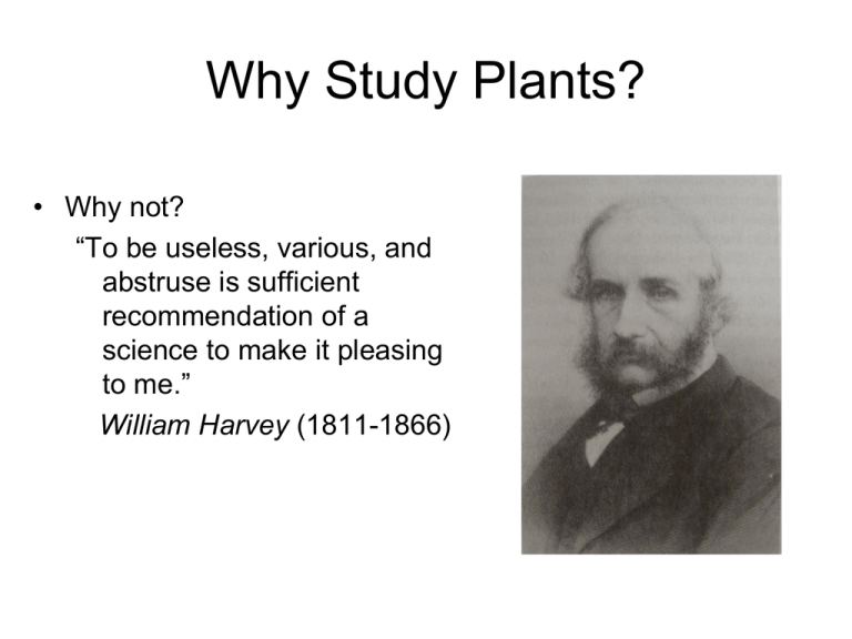 Why Study Plants 