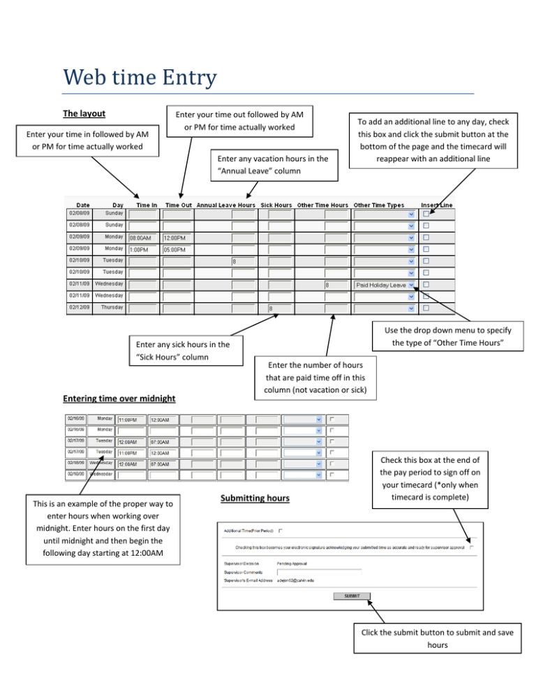 Web Time Entry The Layout