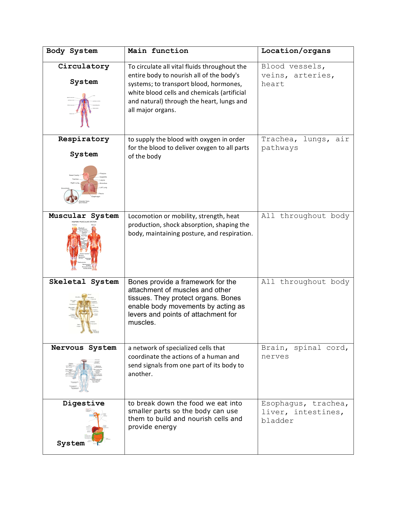Body System Main Function Location organs Circulatory