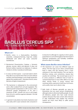 BACILLUS CEREUS SELECTIVE AGAR BASE (MYP) CAT Nº: 1124 Bacillus cereus