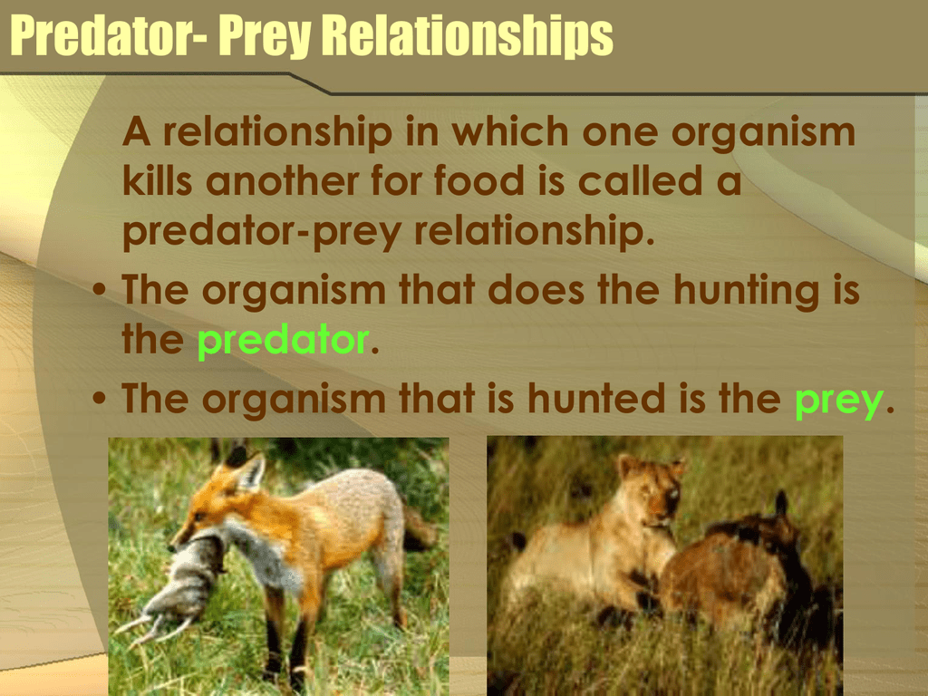 Ecology PP Ecology PP
