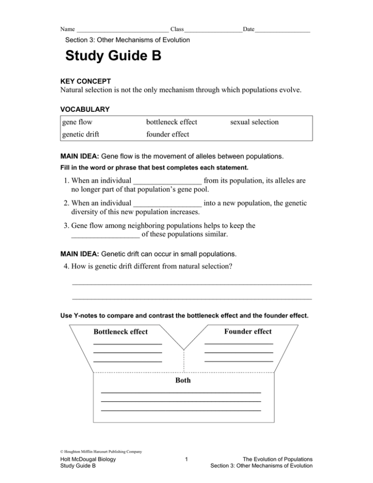 11 3 Study Guide