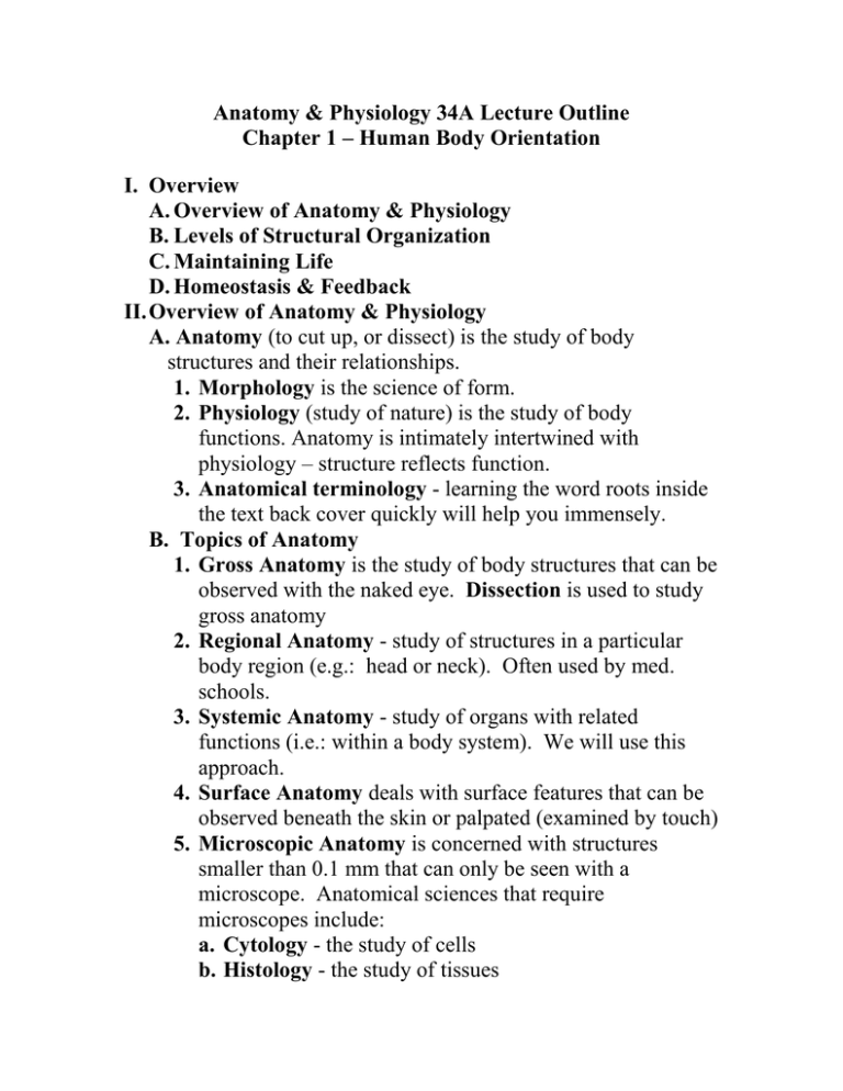 Orientation Complete Outline