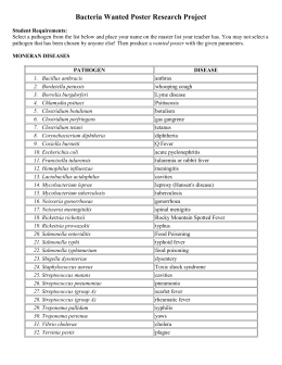 studylib.net - Essys, homework help, flashcards, research papers, book ...