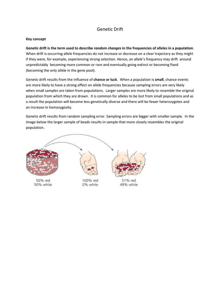 What Is Sampling Error In Genetic Drift