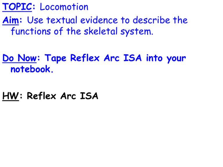 Functions Of Skeletal System