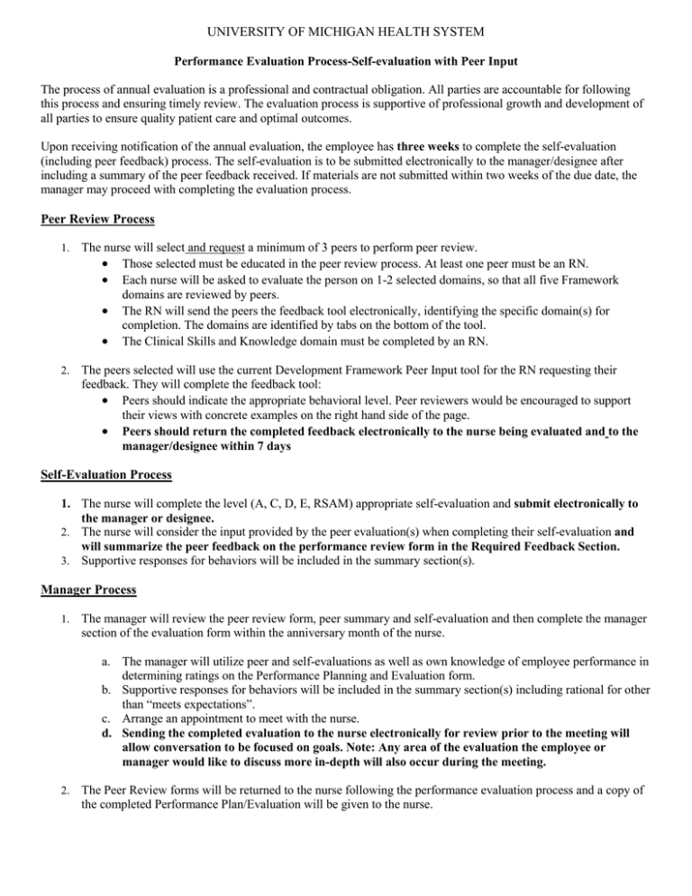 Registered Nurse Level E Annual Evaluation