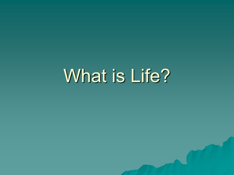 What Is Life What Is Life