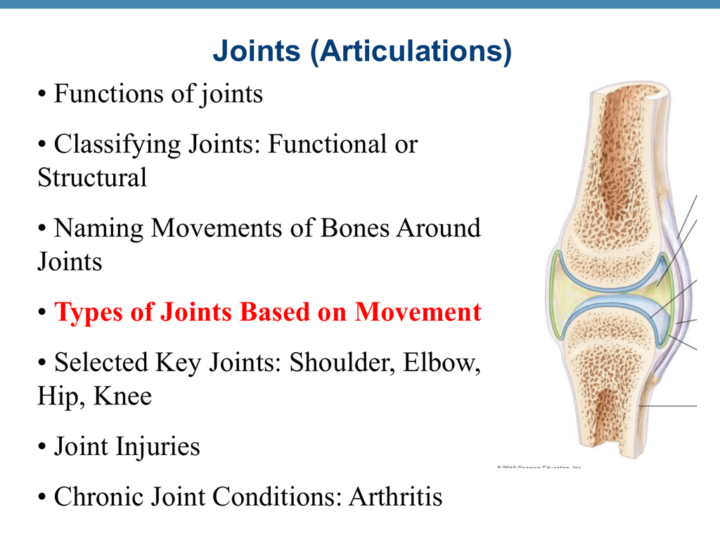 Joints Articulations 
