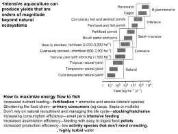 Apes Food For Thought Trophic Levels
