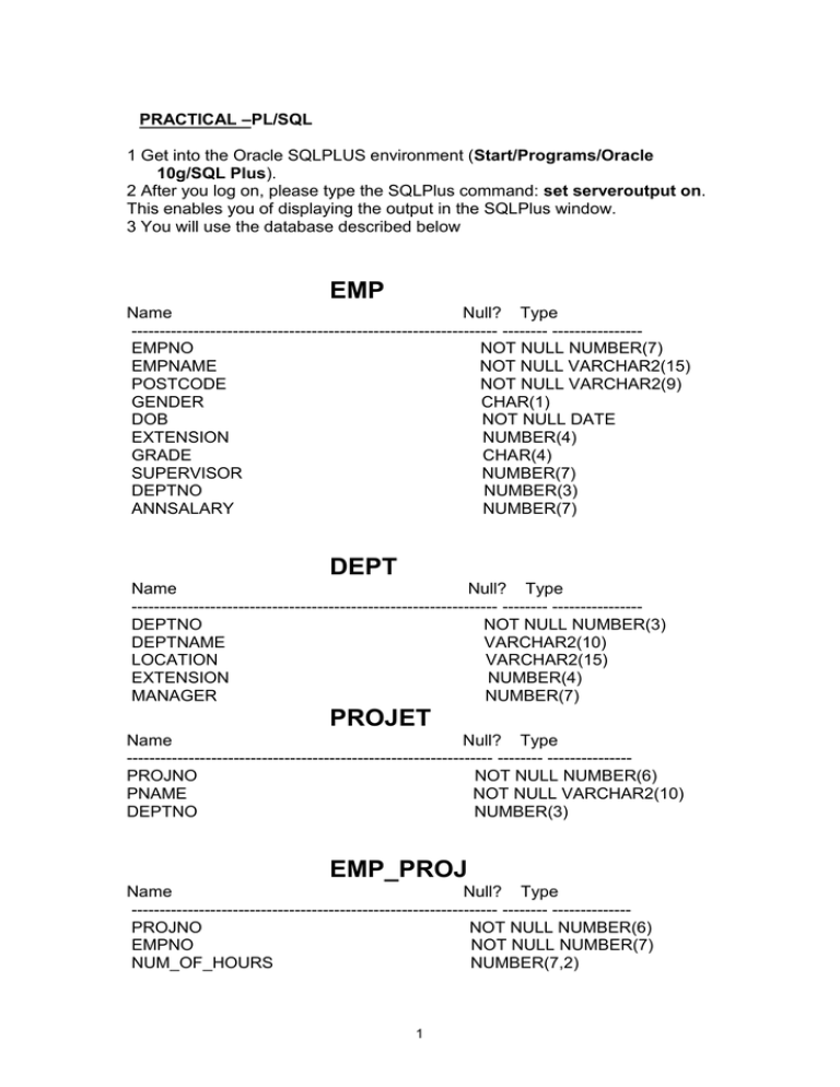  PL SQL PRACTICAL 10g SQL Plus