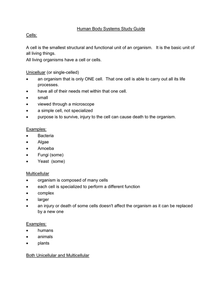 Human Body Systems Study Guide Cells 