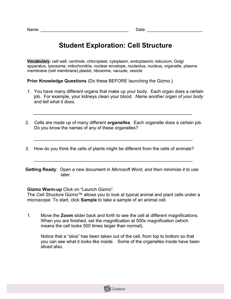 Cell Types Gizmos C Answer Key Gizmo Cell Structure Worksheet Answers 