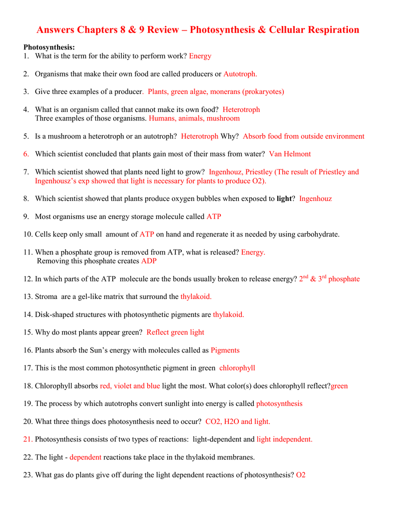 Answers Chapters 8 9 Review Photosynthesis Cellular Answers Chapters 8 9 Review Photosynthesis Cellular