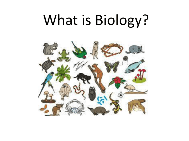 What Is Biology 