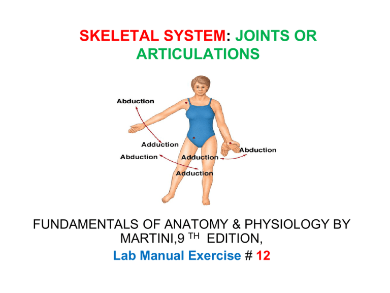 SKELETAL SYSTEM JOINTS OR ARTICULATIONS