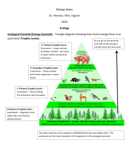 Trophic Levels = describe the position that an organism