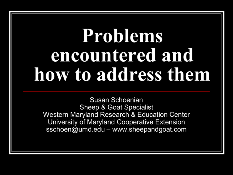 Problems Encountered And How To Address Them