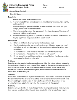 ENDANGERED-SPECIES-RUBRIC