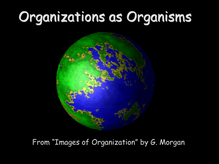 Organizations as Organisms From “Images of Organization” by G. Morgan