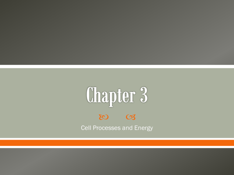 Cell Processes And Energy