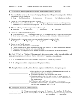 transcription pogil key