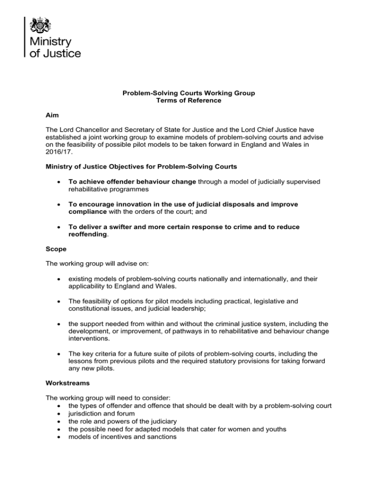 Problem Solving Courts Working Group