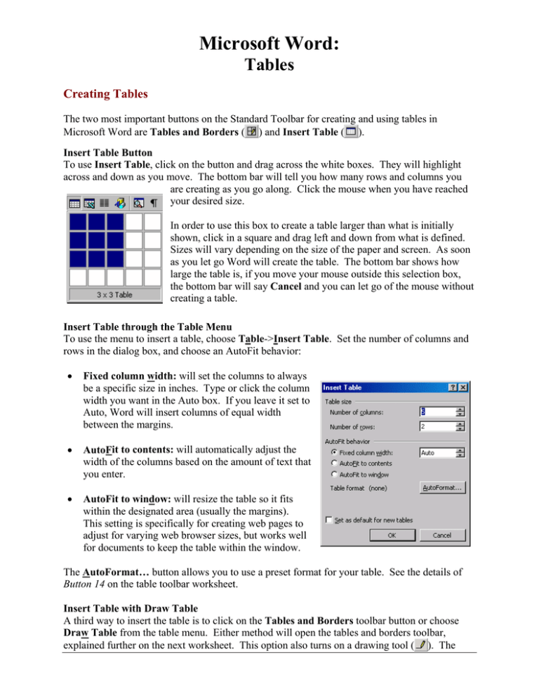 Microsoft Word 