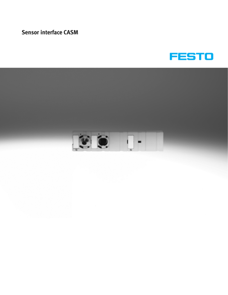 Sensor interface CASM