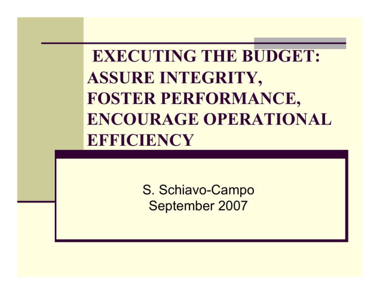 Executing The Budget Assure Integrity Foster Executing The Budget Assure Integrity Foster