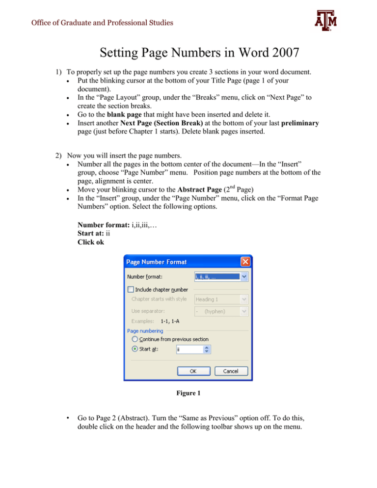 Page Numbering In Word 2007