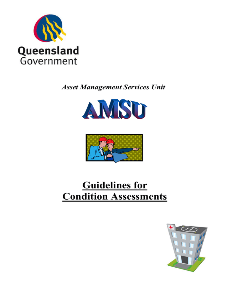 Guidelines for Condition Assessments