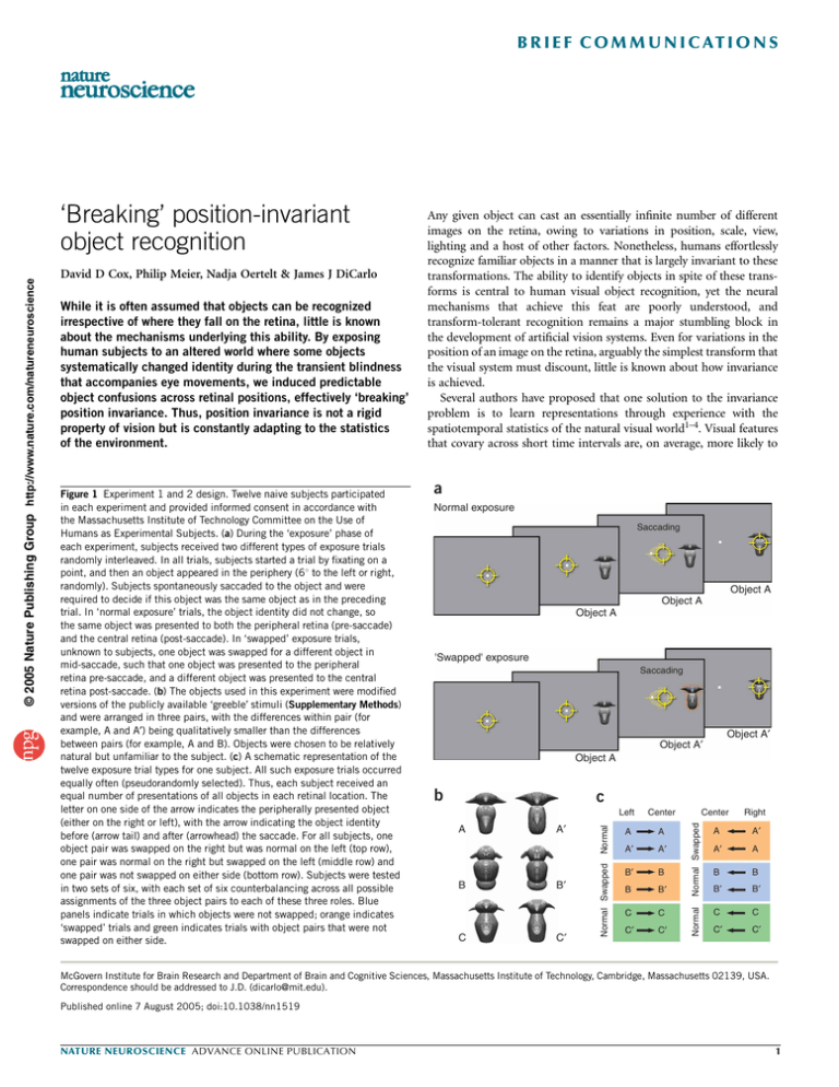  Breaking Position invariant Object Recognition