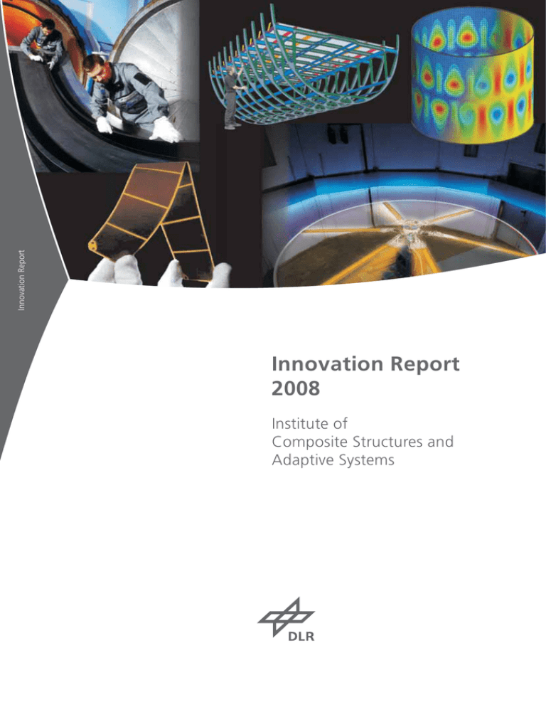 Innovation Report 2008