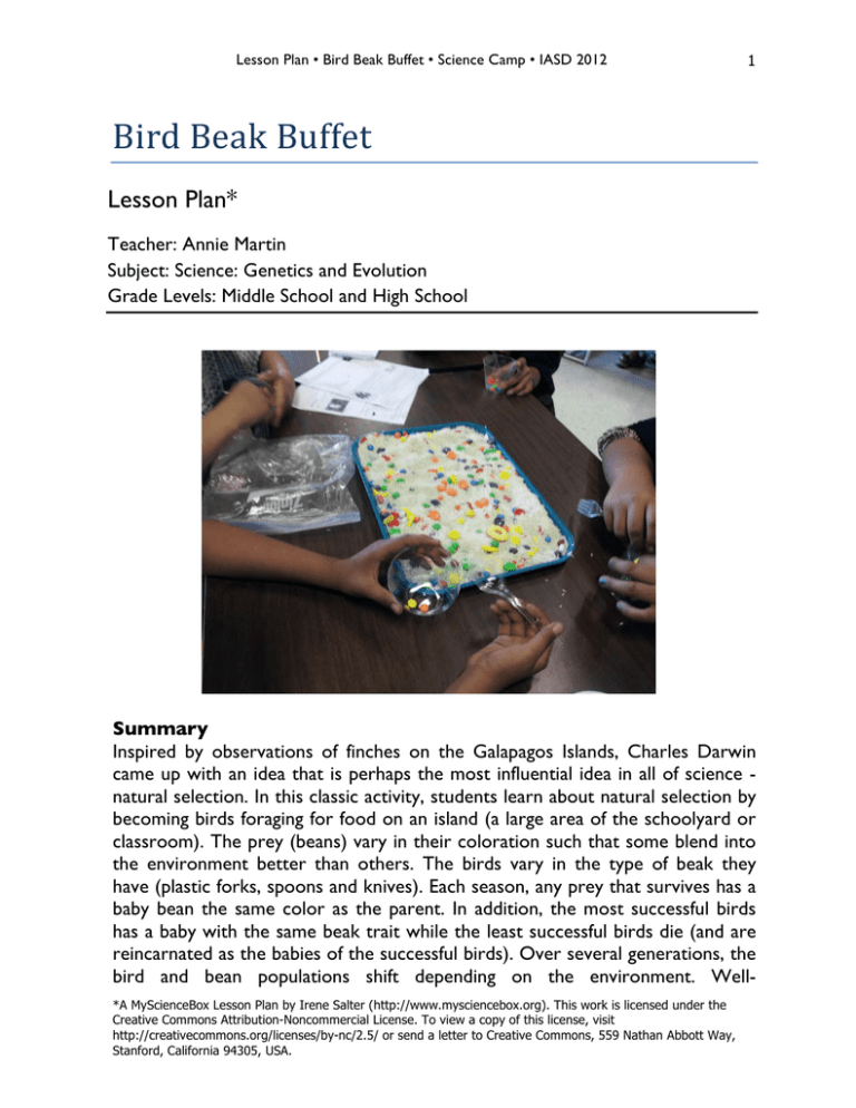 Bird Beak Buffet 