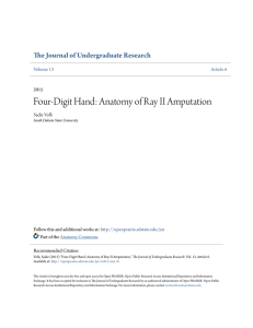 Digit amputation by Sharp Dissection