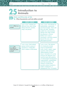 Animal Introduction Notes