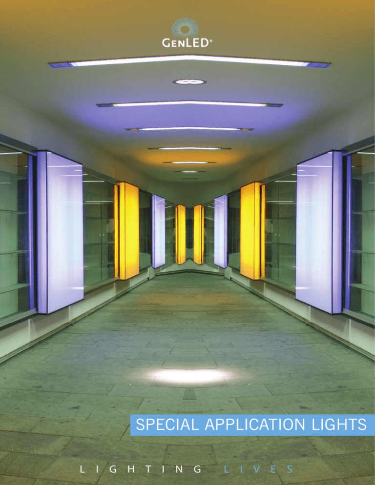 Special Application Lighting Catalog