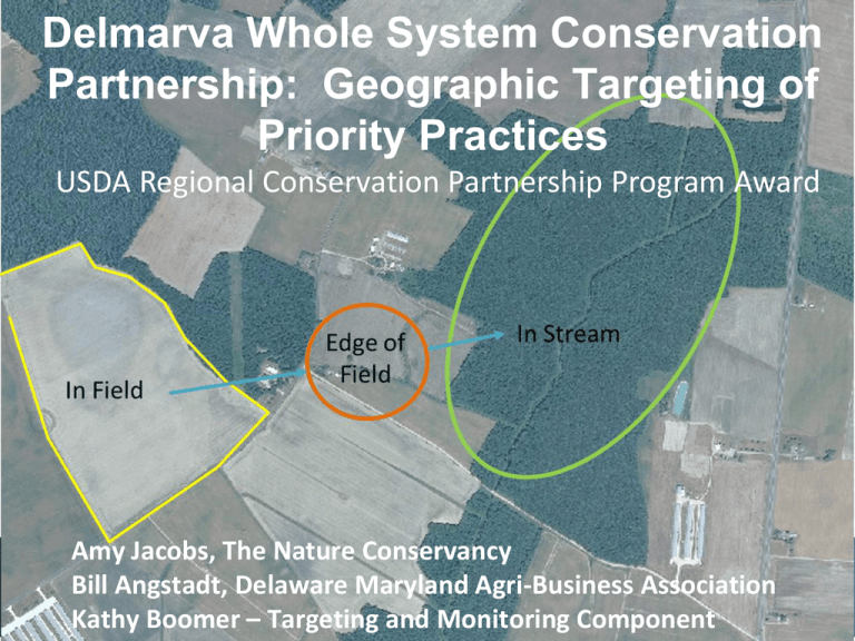 Delmarva Whole System Conservation Partnership