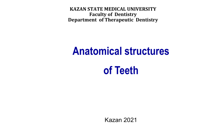 Anatomical Structures of Teeth - Kazan Medical University