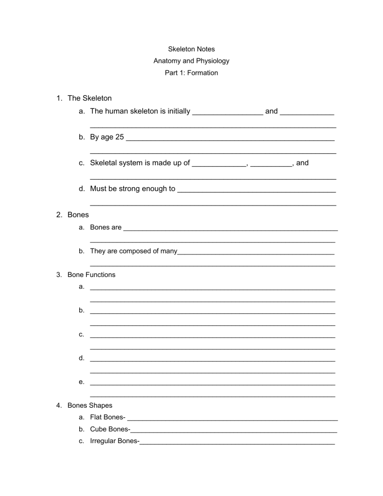 Skeleton Notes