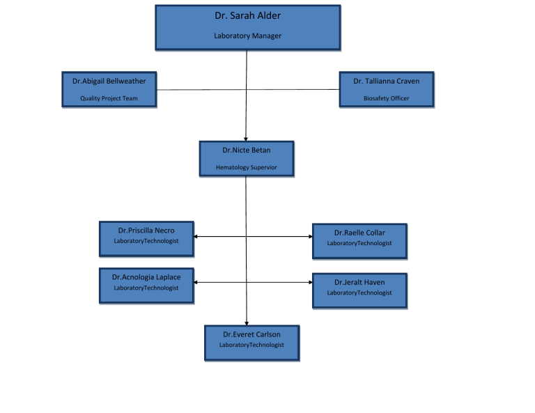 Laboratory Team Organizational Chart