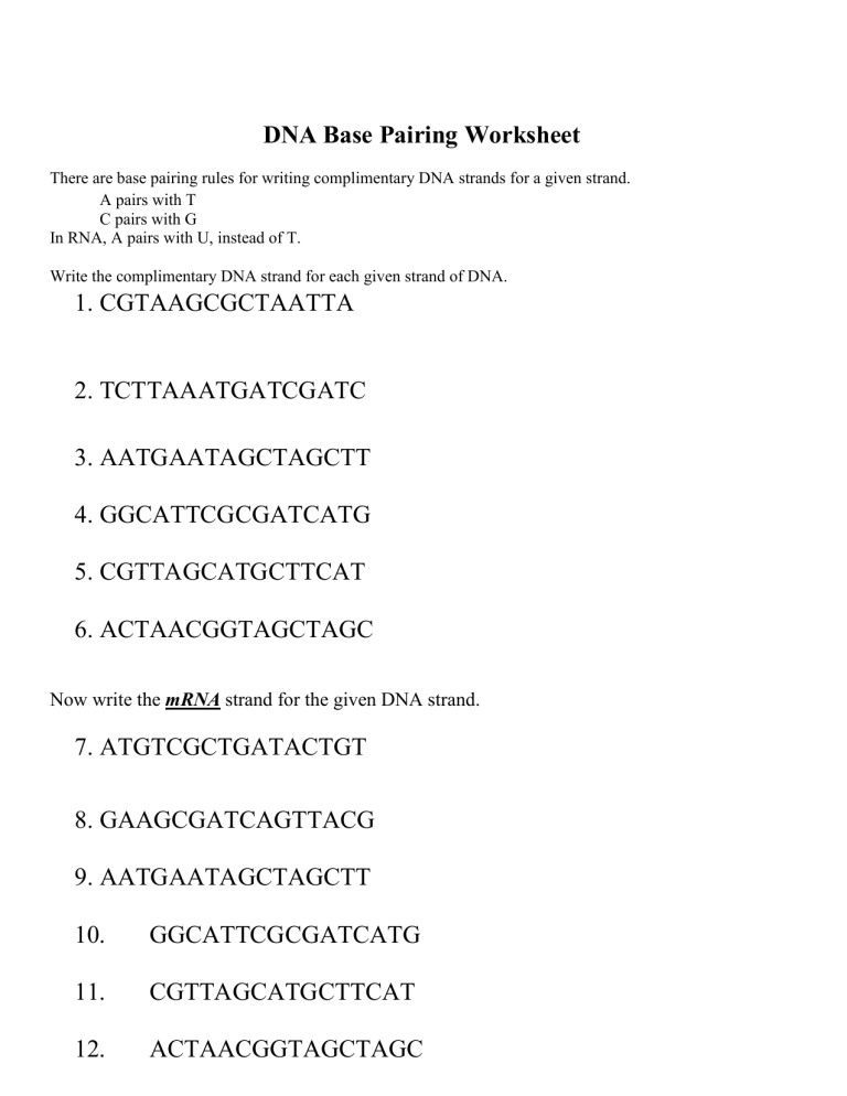 9 Base Pairing Worksheet 9 Base Pairing Worksheet
