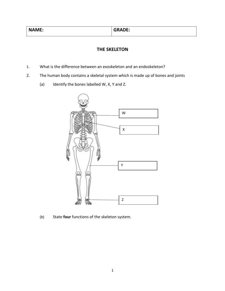 Skeleton Worksheet