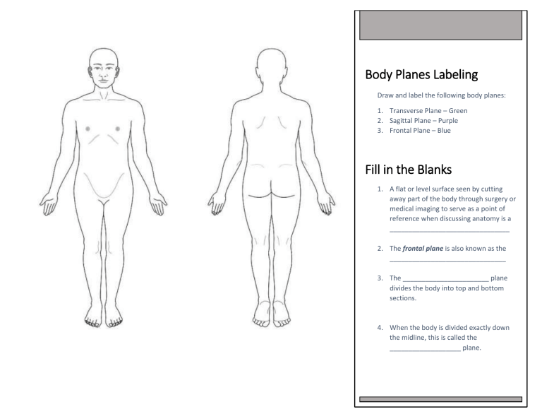 Body Planes Body Planes