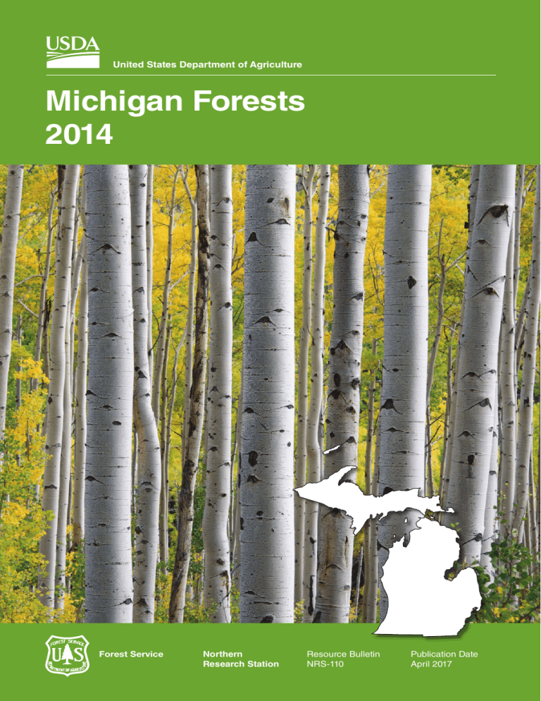Forest Facts of Michigan