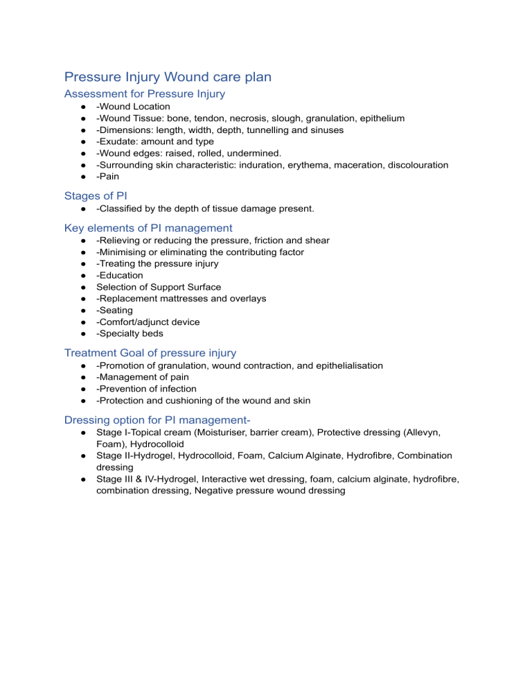 Pressure Injury Wound Care Plan